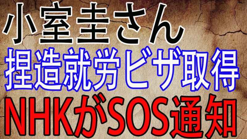 小室圭さん 捏造就労ビザ取得 NHKがSOS通知 - My Box Movie
