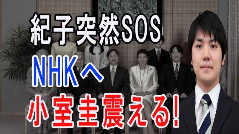 紀子突然SOS ! NHKへ小室圭震える! - My Box Movie